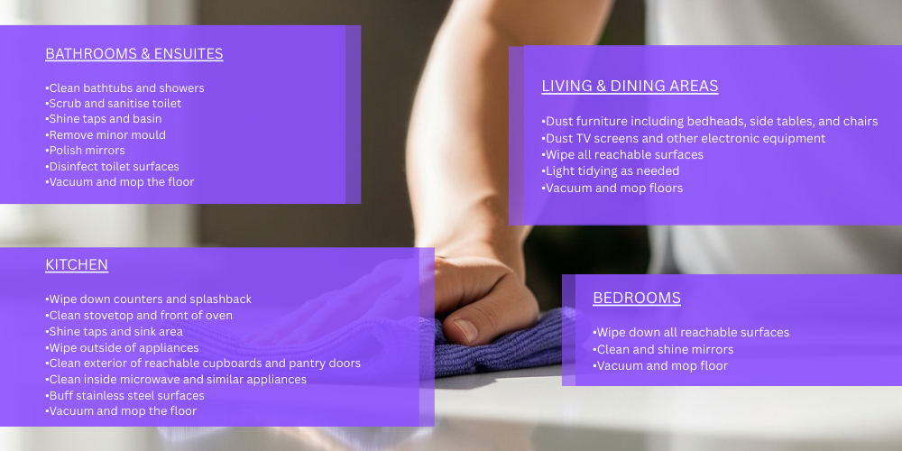 Domestic Cleaning Services